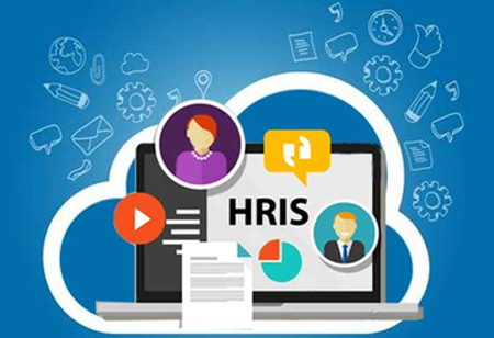 Types of Human Resource Information System (HRIS)